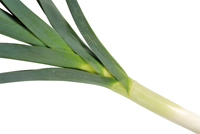 Ingredieumlnten SeniorenNet - Website voor de actieve 50-plusser