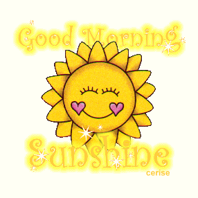 WhatsApp. SeniorenNet - Website voor de actieve 50-plusser