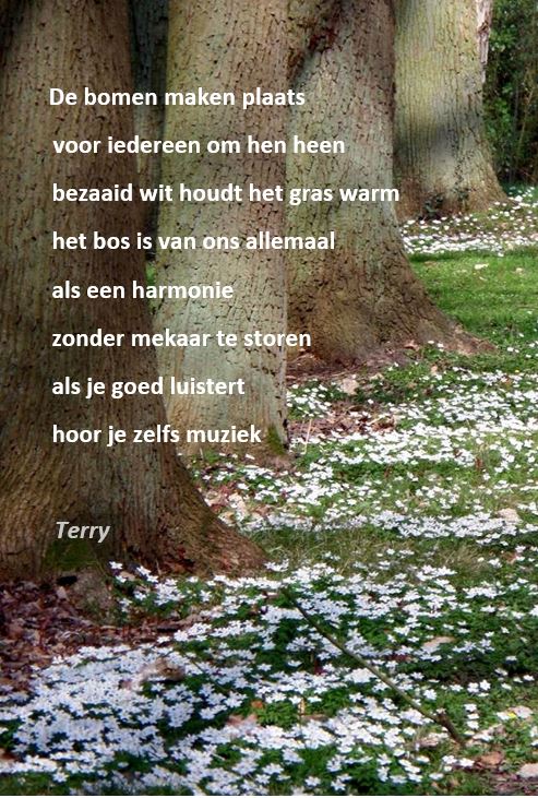 Poëzie: De bomen maken plaats