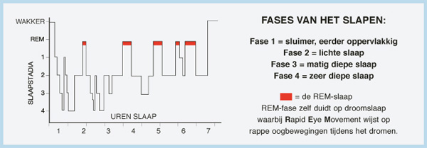 Rugpijn tijdens het slapen - Dossier rugpijn - SeniorenNet - Website ...
