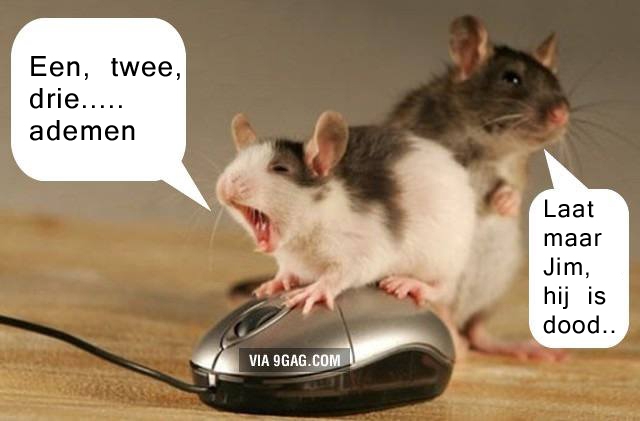 SeniorenNet - Grappig of Schattig - reanimeren.... SeniorenNet - de ...